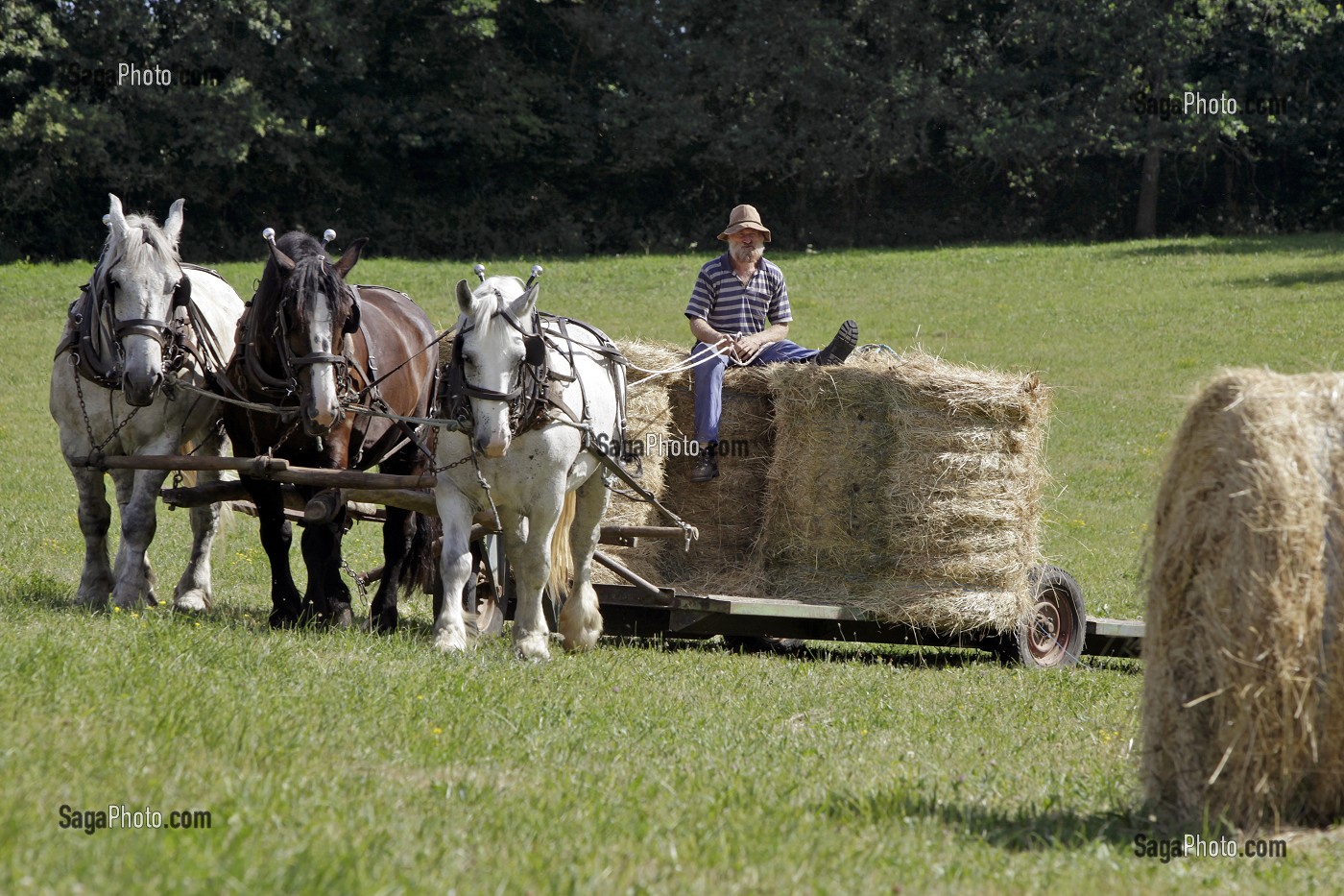 photo de RAMASSAGE DES BALLES RONDES DE FOIN, TRAVAIL DES CHAMPS AVEC ...