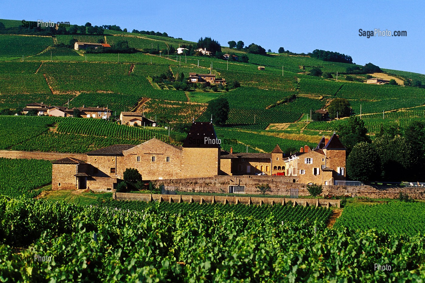 photo de ANCIENNE FERME ET PAYSAGE RURAL A JULIENAS, RHONE (69), FRANCE