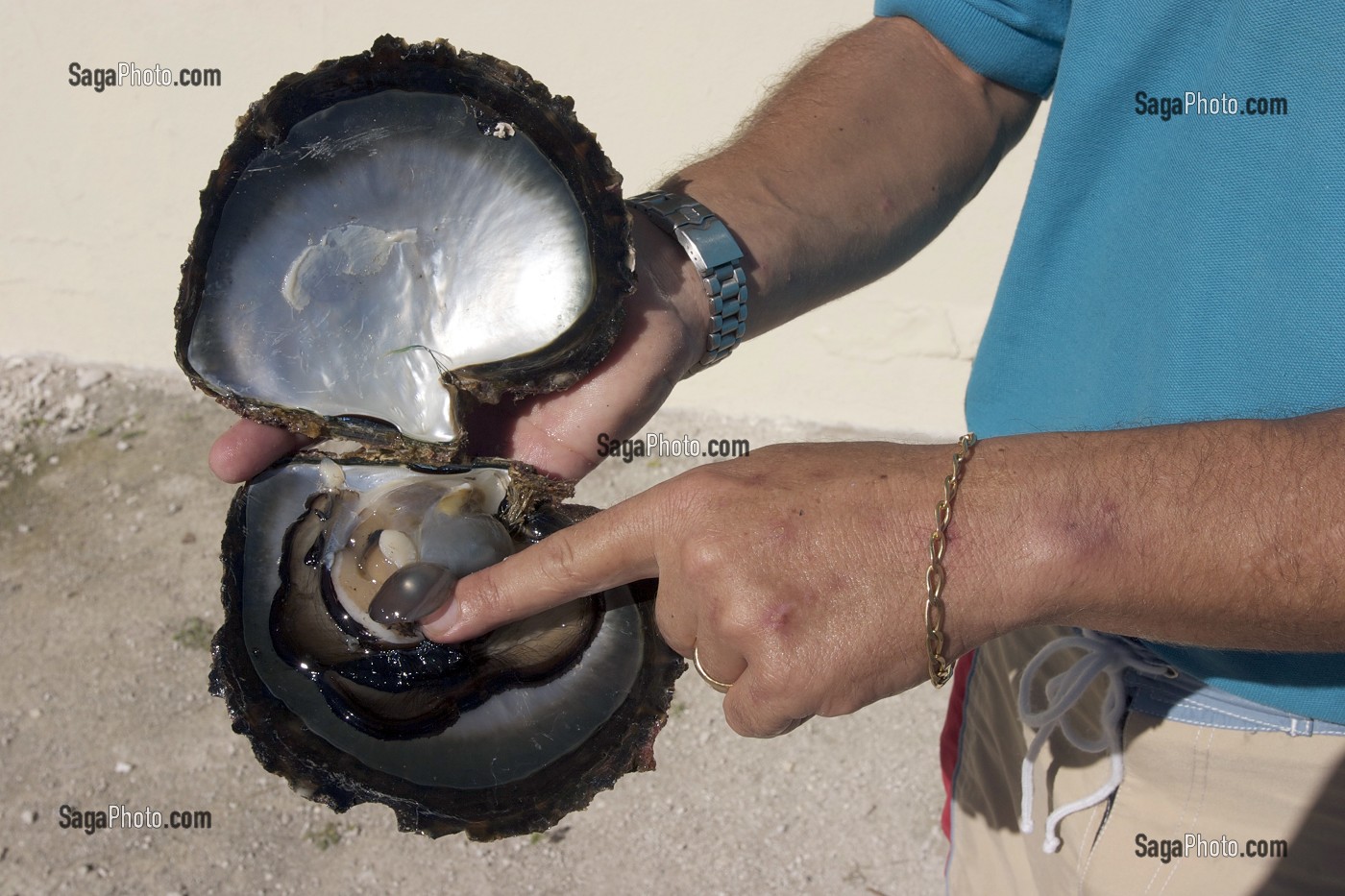 photo de HUITRE CONTENANT UNE PERLE, FERME PERLIERE, RANGIROA, ARCHIPEL ...