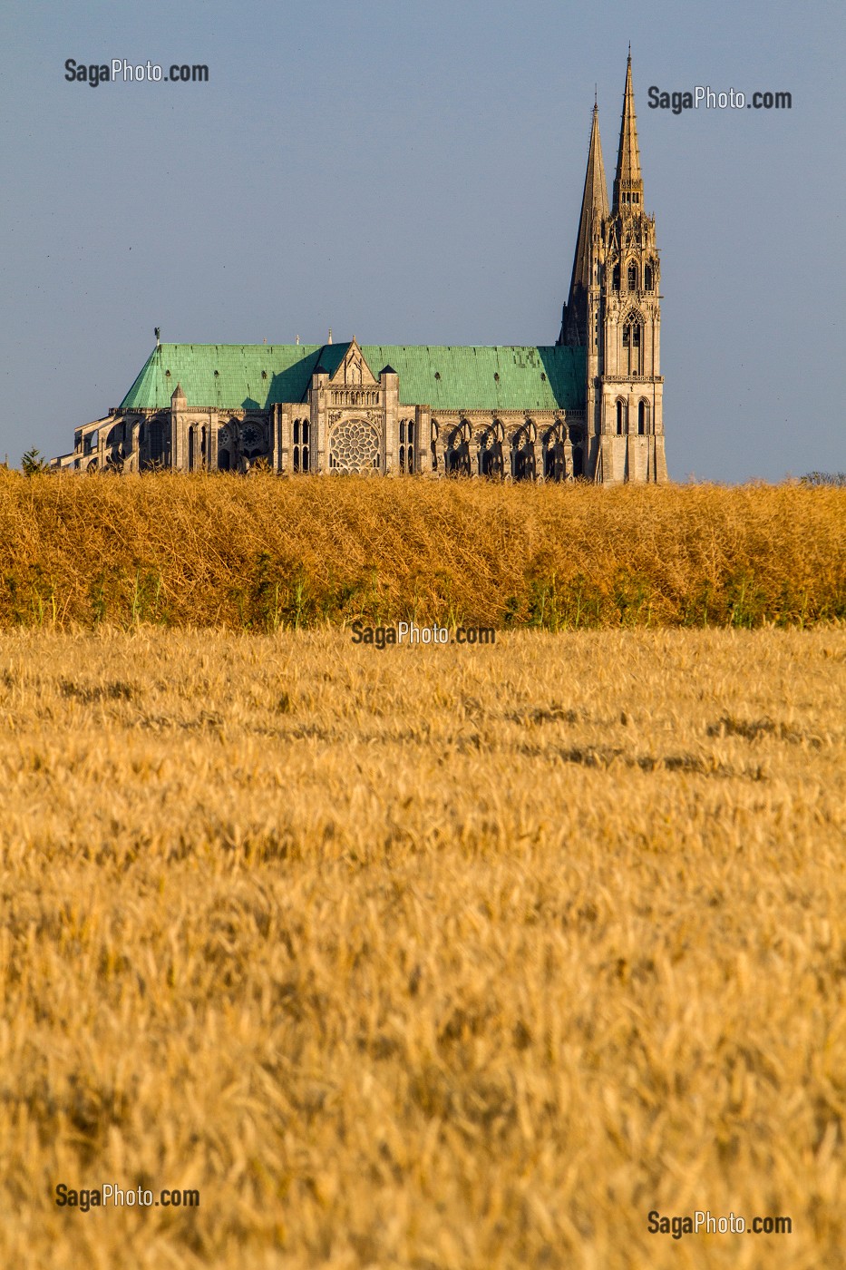 photo de CATHEDRALE DE CHARTRES EMERGEANT DES CHAMPS DE BLE, EURE-ET ...
