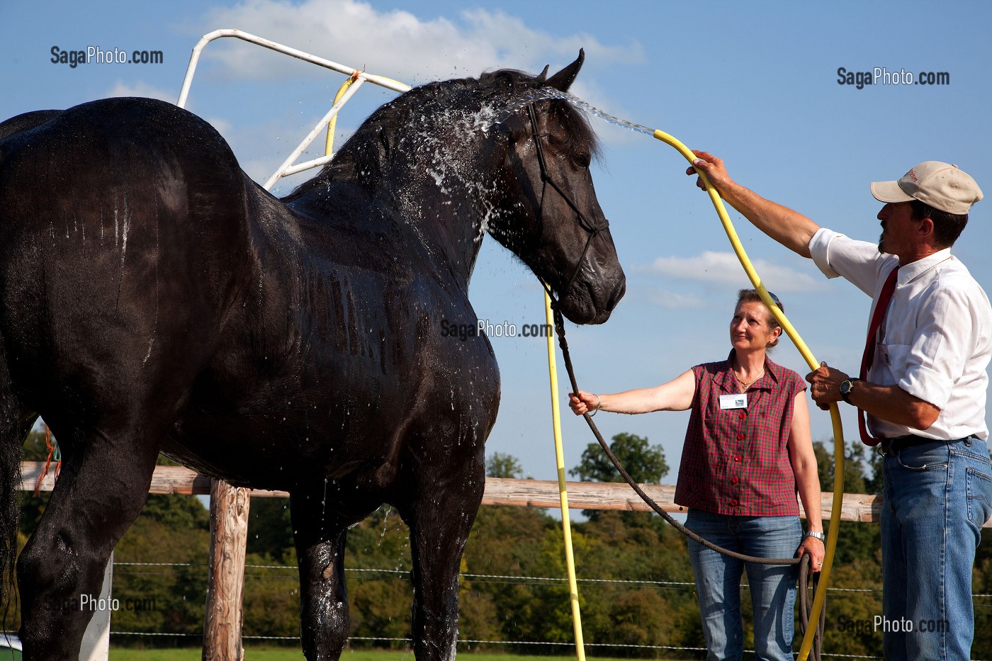 photo de CONGRES MONDIAL DU CHEVAL PERCHERON, NORMANDIE, FRANCE