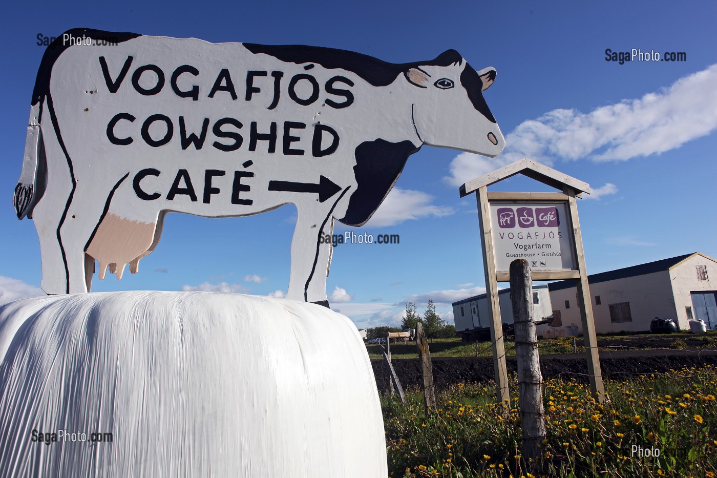 photo de ELEVAGE DE VOGAFJOS COWSHED, VACHE DE RACE BOVINE ICELANDIC ...