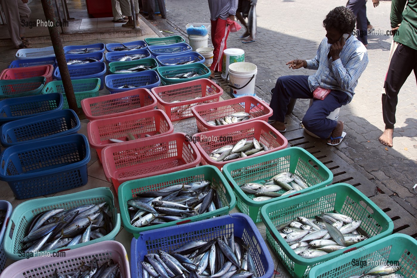 photo de MARCHE AUX POISSONS A MALE, FISH MARKET, MALE, CAPITALE ...