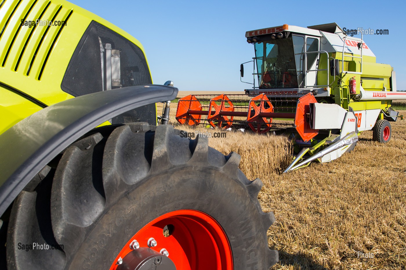photo de MOISSON DU BLE DUR POUR LES PATES ALIMENTAIRE DANS LA BEAUCE ...