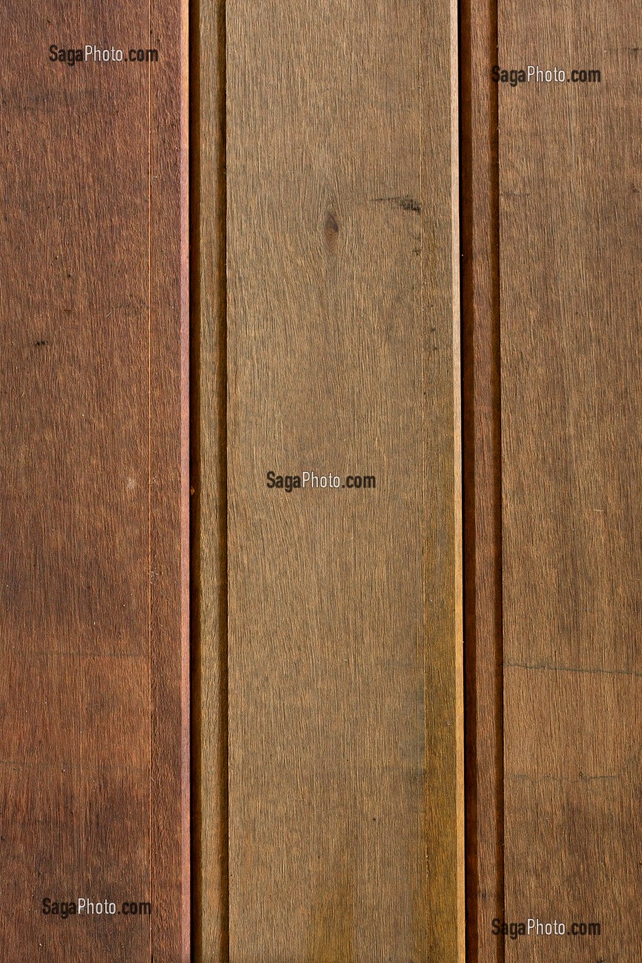 photo de KAPUR, DRYOBALANOPS SPP // KAPUR, DRYOBALANOPS // KAPUR ...