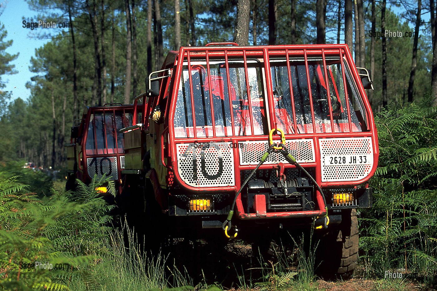 photo de FEU DE FORET, PROGRESSION D'UN CCF, LANDES (40)