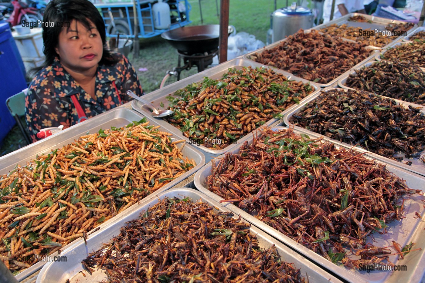 photo de MARCHANDE D'INSECTES GRILLES (VERS A SOIE, SAUTERELLES ...